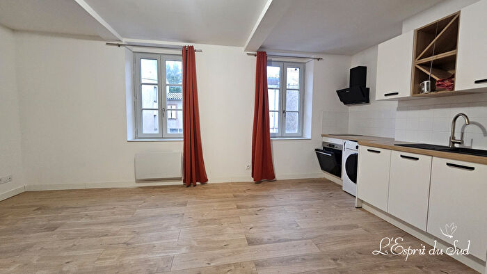 Appartement à louer - Rabastens - 2 pièces - 1 chambre