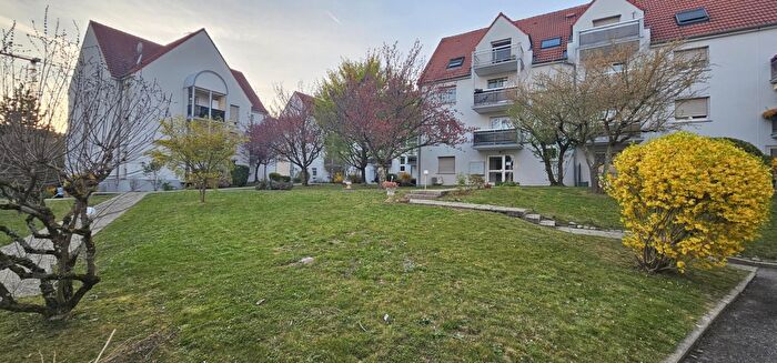 Appartement à louer - Saint-Louis, Centre-ville - 3 pièces - 2 chambres