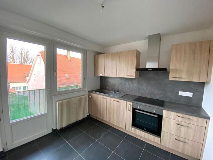 Appartement à louer - Strasbourg, Robertsau - 3 pièces - 2 chambres