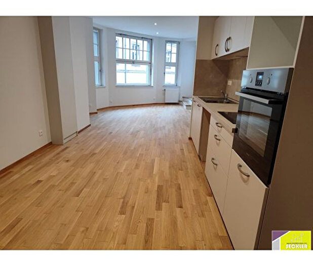 Colmar, Centre-ville : Appartement 7 pièces à louer
