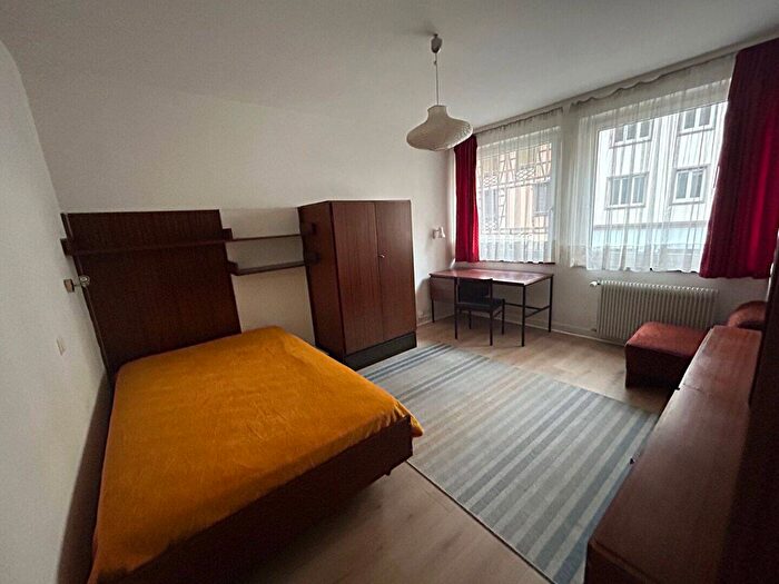 Petite France Centre, Strasbourg - Appartement 1 pièce à louer