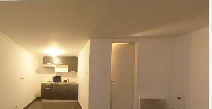 Villeurbanne, Gratte Ciel - Appartement 1 pièce à louer