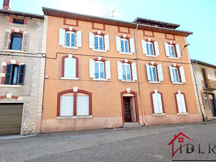 Oyonnax, Centre-ville, Niermes, Geilles, Croix Rousse - Appartement 3 pièces à vendre