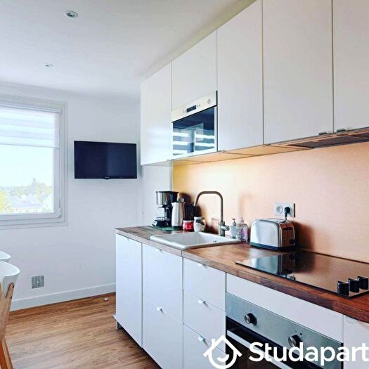 Appartement à louer - Bourgeonnière-Petit Port, Nantes - 1 pièce - 1 chambre