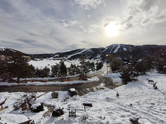 Appartement à vendre - Gréolières - 1 pièce