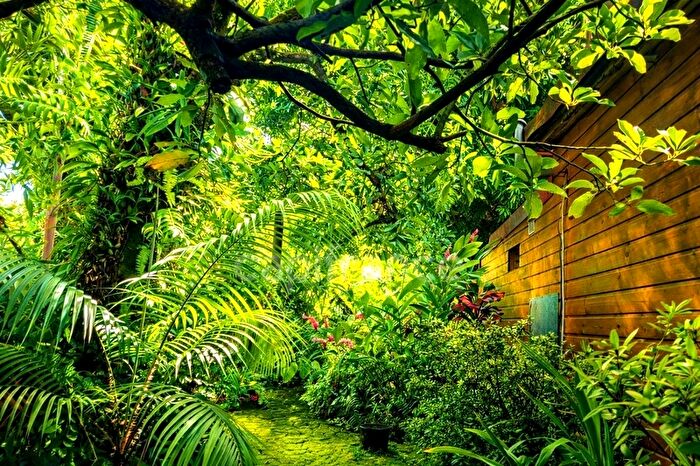 Maison à vendre - Sainte-Rose, Bois Blanc, Mourouvin - 5 pièces - 3 chambres