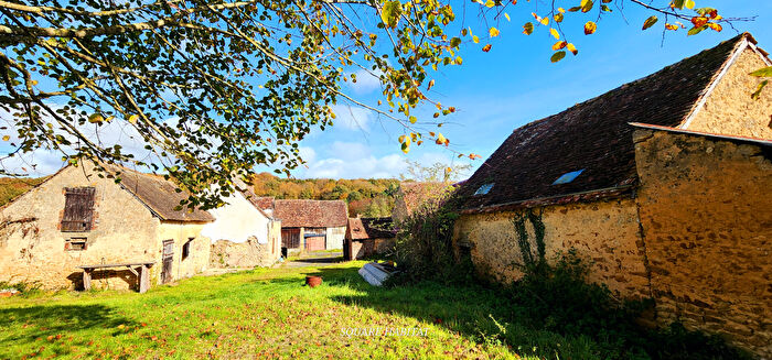 Maison à vendre - Dollon - 3 pièces - 2 chambres
