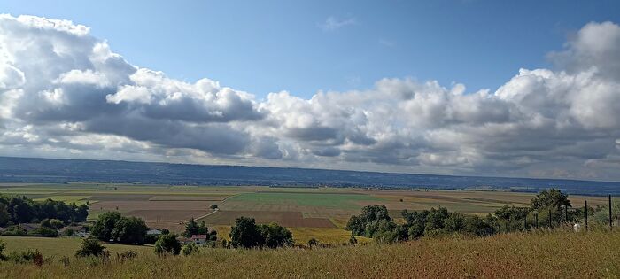 Maison à vendre - Balbins - 3 pièces - 2 chambres