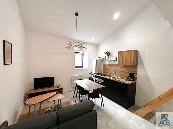 Appartement 1 pièce à louer à Roanne