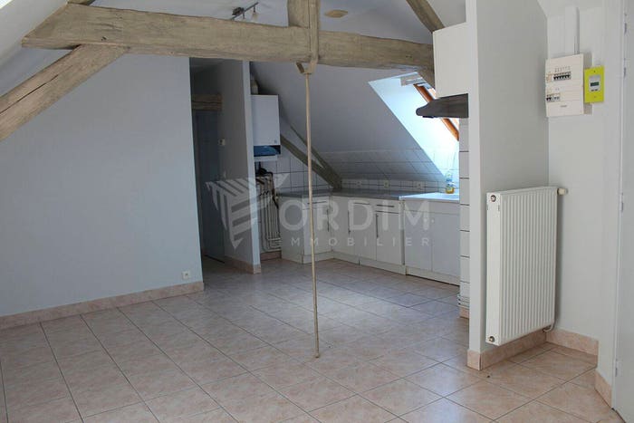 Saint Germain-Hôtel de Ville-Saint Pierre, Auxerre - Appartement 2 pièces à louer
