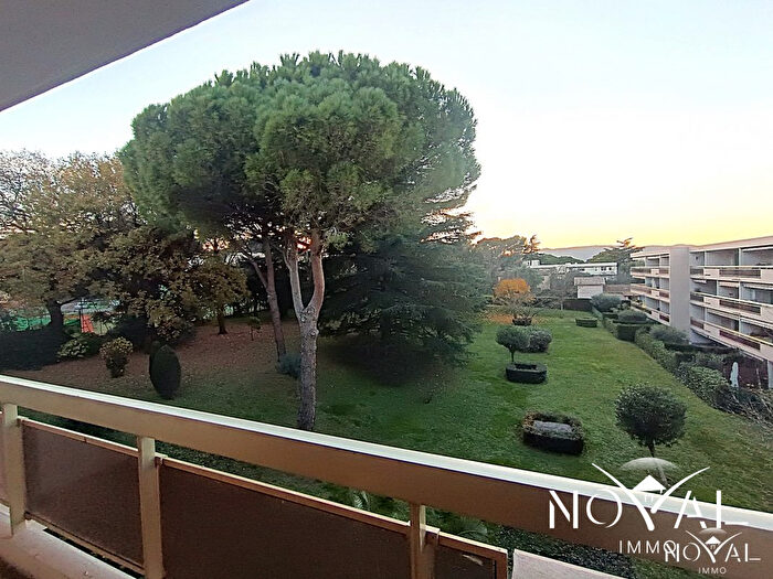 Appartement à louer - Le Cannet, Rocheville, Colombier, Campelières - 1 pièce