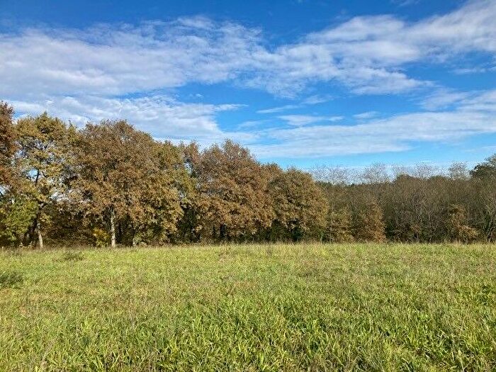 Maison à vendre - Horsarrieu - 4 pièces - 3 chambres