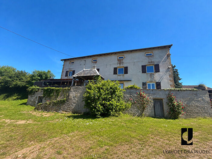 Maison 13 pièces à Saint-Denis-de-Cabanne, à vendre
