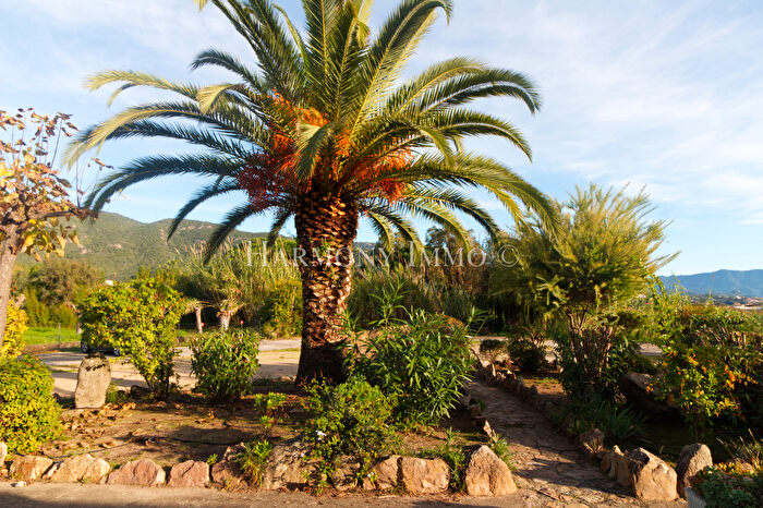 Appartement à vendre - Vico - 2 pièces - 2 chambres