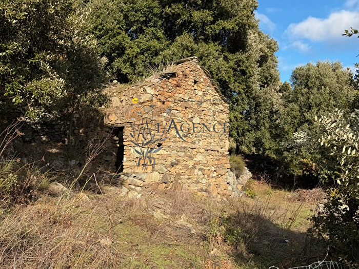 Maison à vendre - Murato - 1 pièce - 1 chambre