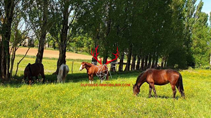 Maison à vendre - Villeneuve-sur-Lot - 5 pièces - 3 chambres