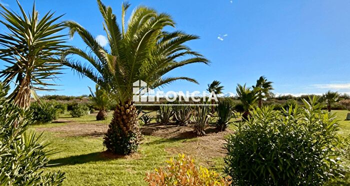 Appartement à vendre - Saint-Cyprien, Les Capellans, Plage de la Lagune - 3 pièces - 2 chambres