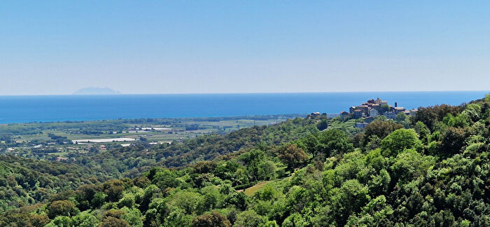 Maison à vendre - Sorbo-Ocagnano - 7 pièces - 5 chambres