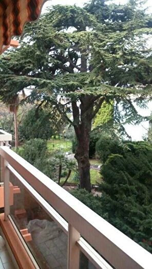 Appartement à louer - Nice - 1 pièce