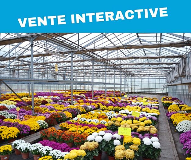 Maison à vendre - Sin-le-Noble, Marais - 7 pièces