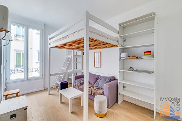 Appartement 1 pièce à vendre à Paris 15ème, Violet, Commerce