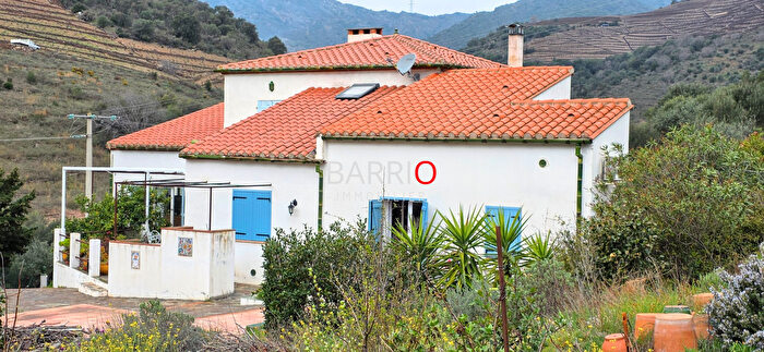 Maison à vendre - Banyuls-sur-Mer - 12 pièces - 5 chambres