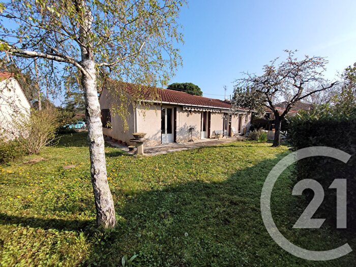 Maison à vendre - Gaillac, Portanelle, Hortalisse, Pouille - 4 pièces - 3 chambres