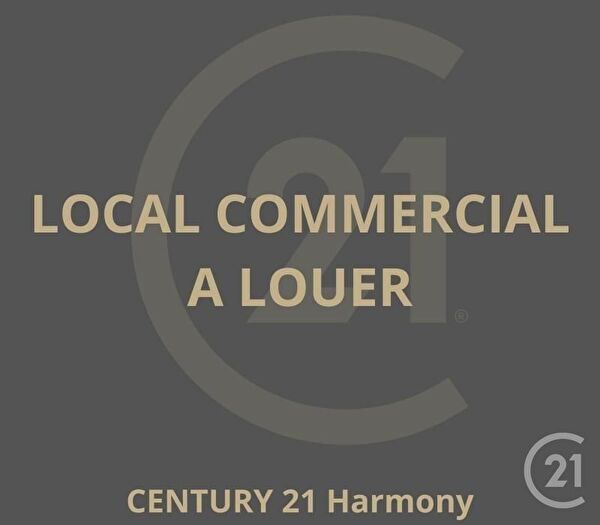 Appartement à louer - Pont-Audemer - 1 pièce