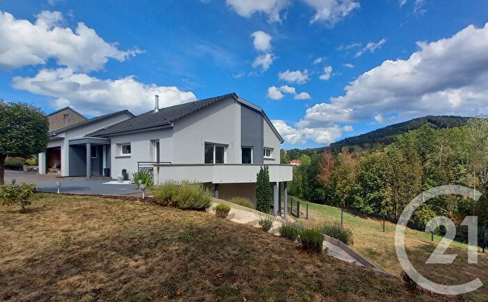 Maison 6 pièces à vendre à Ménil-de-Senones
