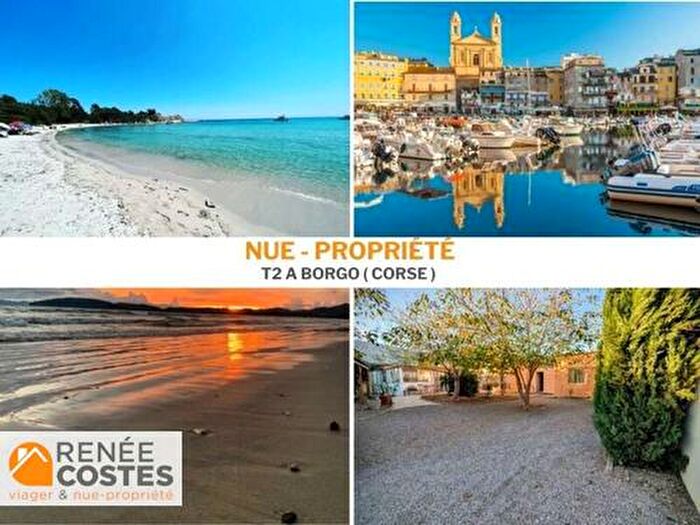 Appartement à vendre - Borgo - 2 pièces - 1 chambre