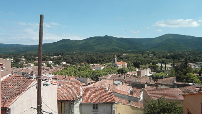 Maison à vendre - Gonfaron - 5 pièces - 4 chambres