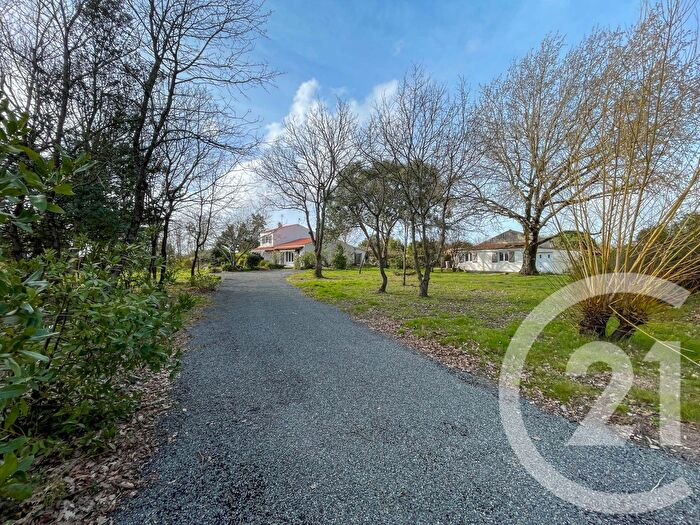 Maison à vendre - Château-dOlonne - 5 pièces - 3 chambres