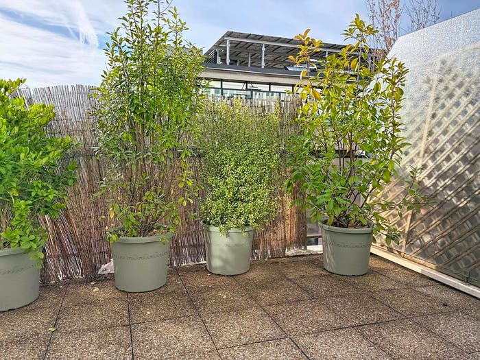 Vaillant-Sembat, Boulogne-Billancourt : Appartement 3 pièces à louer