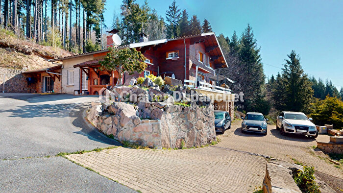 Maison à vendre - Cours-la-Ville - 10 pièces - 6 chambres