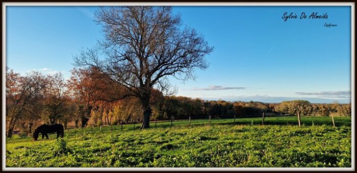 Maison à vendre - Pont-de-Veyle - 6 pièces - 4 chambres