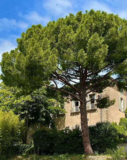 Maison 9 pièces à vendre - Neffiès
