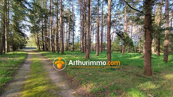 Maison à vendre - Nouan-le-Fuzelier - 6 chambres