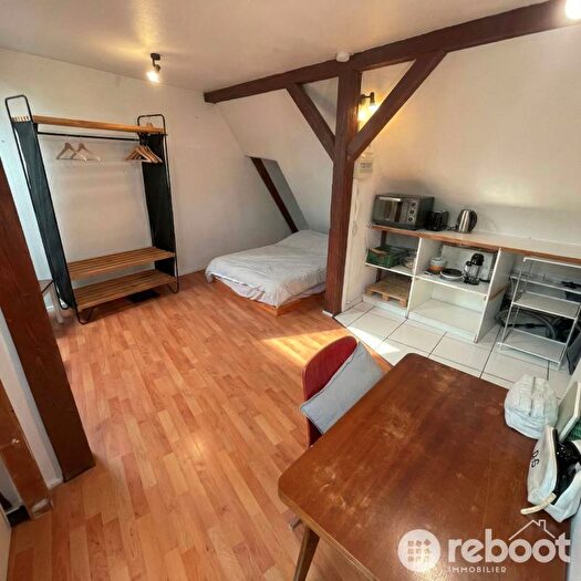Appartement à louer - Strasbourg, Petite France, Kléber - 1 pièce