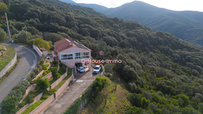 Maison à vendre - Grosseto-Prugna - 8 pièces - 3 chambres