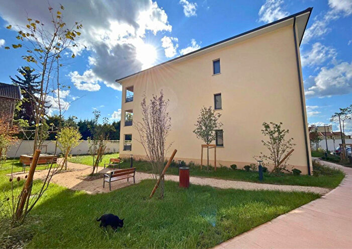 Appartement à louer - Bourgoin-Jallieu, Champfleuri et sa ceinture verte - 2 pièces - 1 chambre