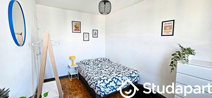 Appartement 1 pièce à louer à Bonnevay, La Soie, Les Brosses, Villeurbanne