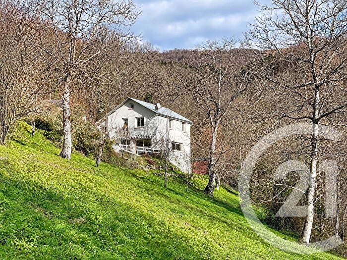 Maison à vendre - Biert - 4 pièces - 3 chambres