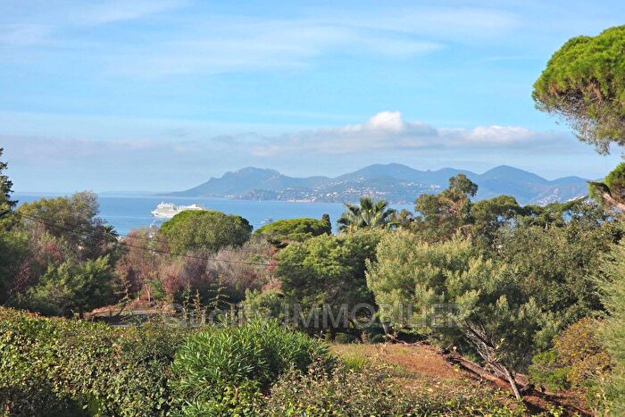 Maison à louer - Cannes - 5 pièces - 4 chambres