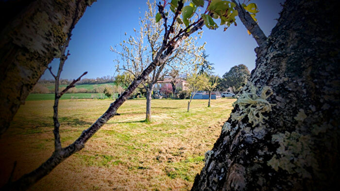 Maison à vendre - Saint-Orens-Pouy-Petit - 7 pièces - 5 chambres
