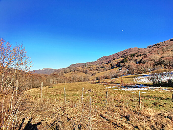 Maison à vendre - Compains - 2 pièces - 1 chambre