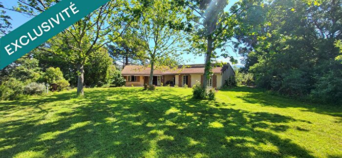 Maison à vendre - Céret - 7 pièces - 4 chambres