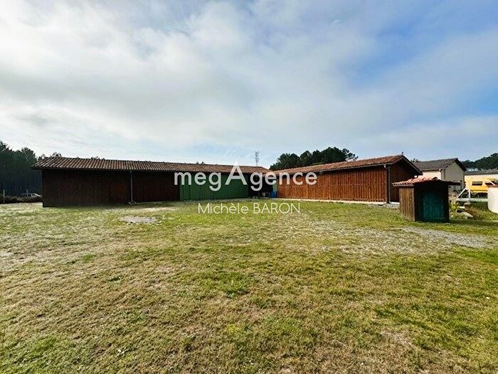 Maison à vendre - Saint-Michel-Escalus - 2 pièces - 1 chambre