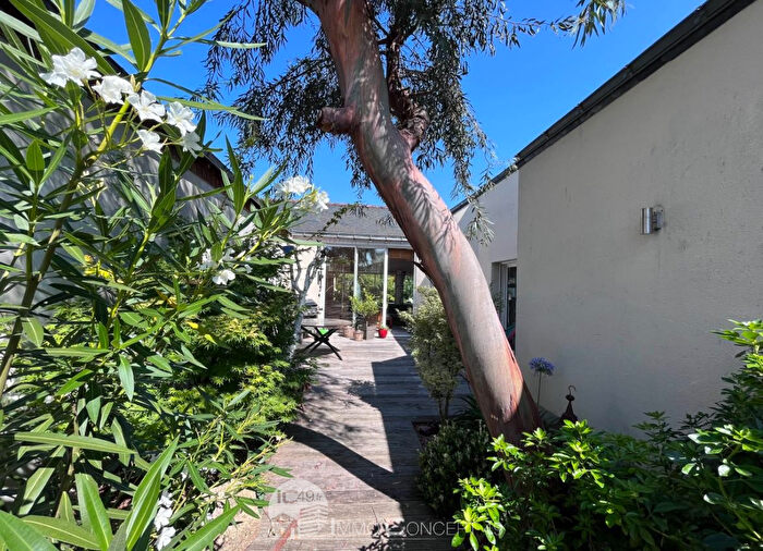 Maison à vendre - Brissac-Quincé - 7 pièces - 4 chambres