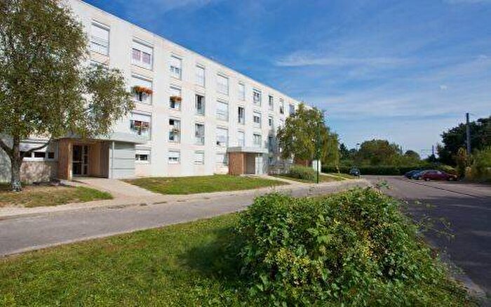 Appartement à louer - Foëcy - 1 pièce