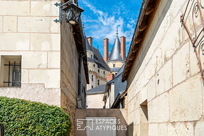 Maison à vendre - Langeais - 14 pièces - 6 chambres